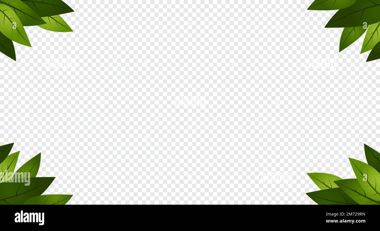 Tropical leaves frame. Corners with green leaves. Frame with green ...