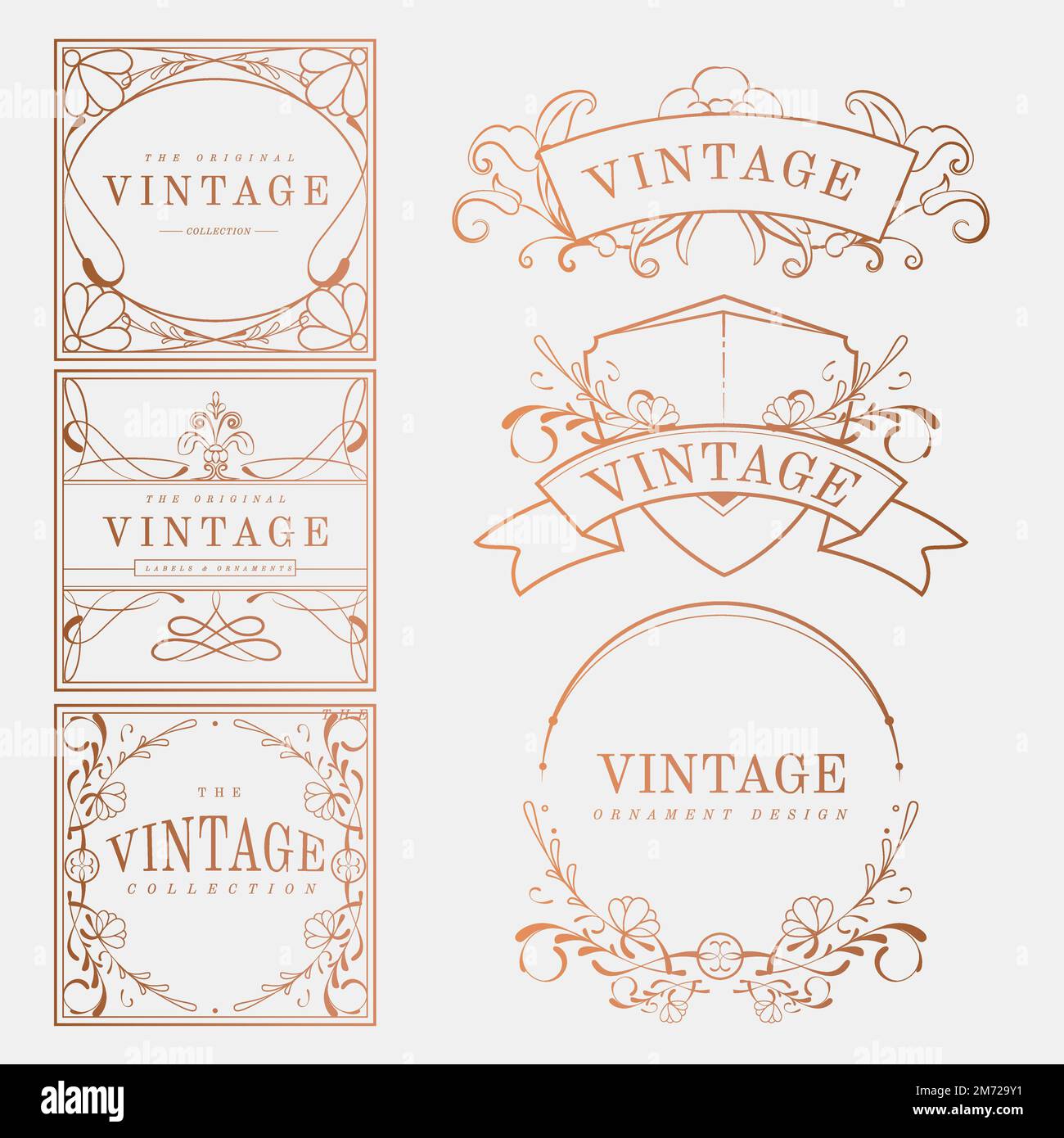 Set luxurious elegant pattern hi-res stock photography and images - Alamy