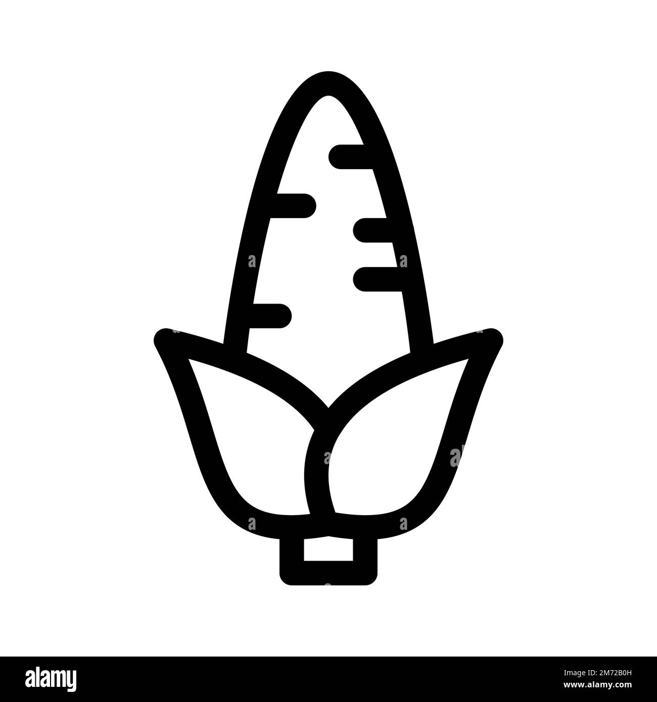 Corn icon. Outline corn vector icon for web design isolated background ...