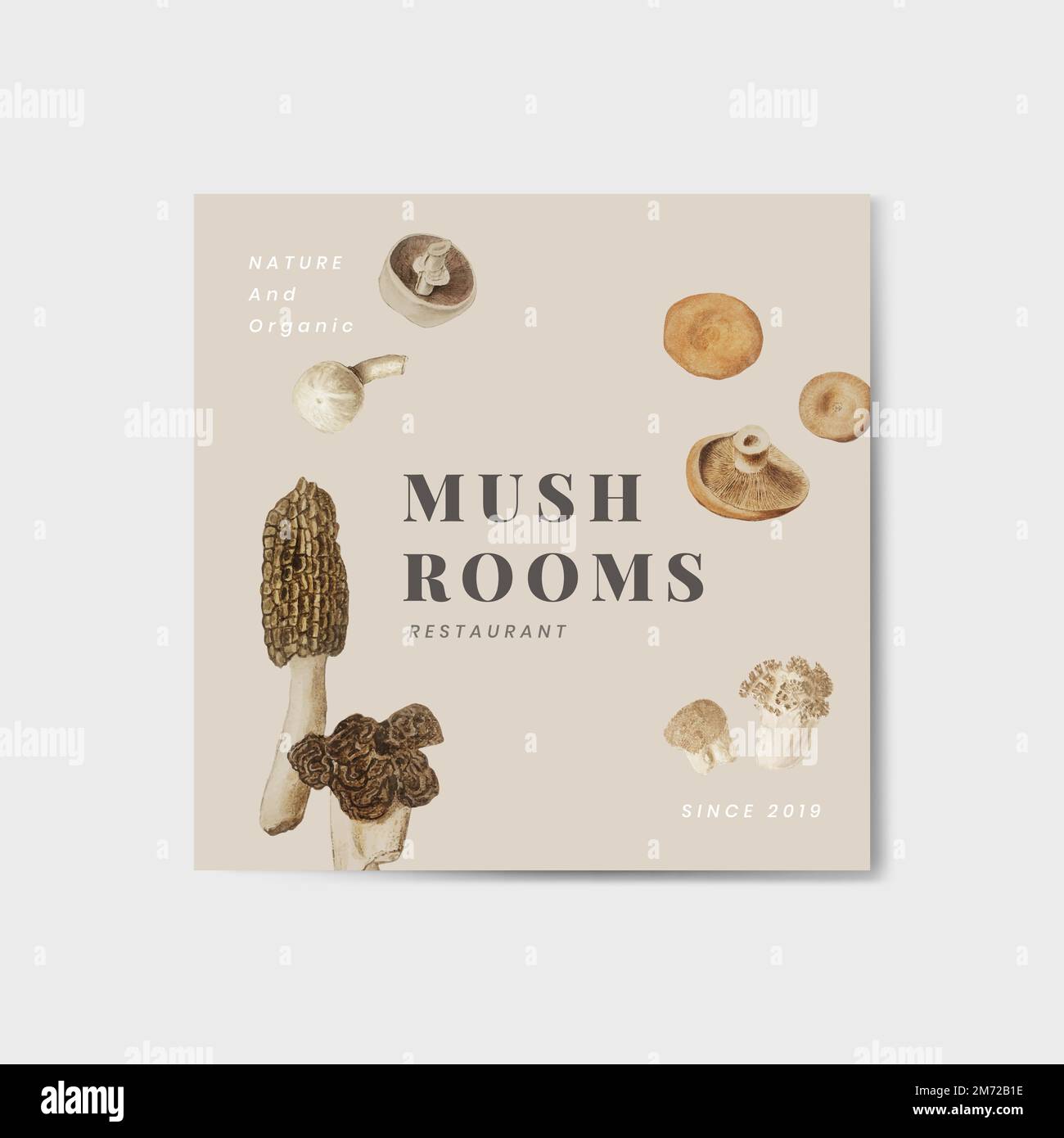 Vintage mushroom variety illustration for poster Stock Vector Image ...