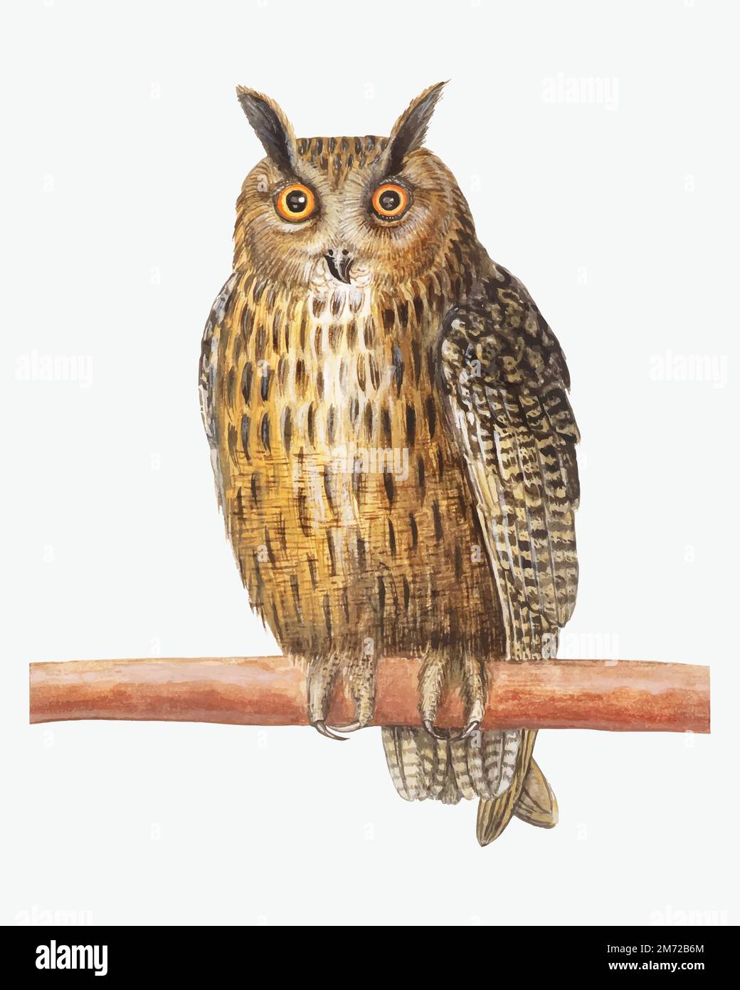 Vintage long eared owl illustration in vector Stock Vector Image & Art ...