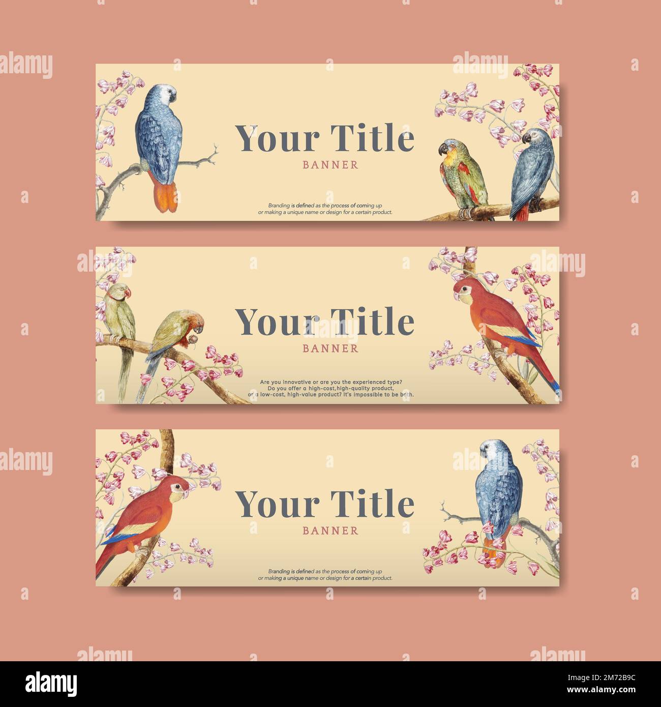 Vintage parrots and nature concept title label vector Stock Vector ...