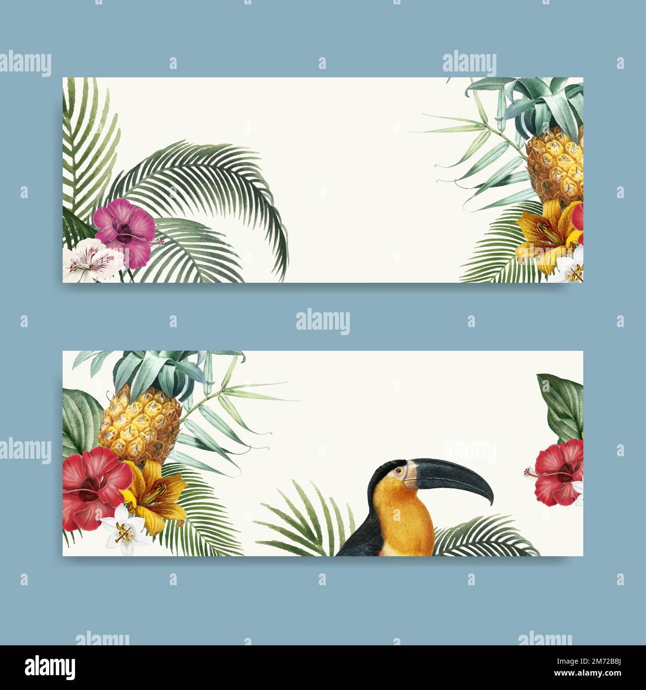 Frame with tropical vintage illustration Stock Vector Image & Art - Alamy