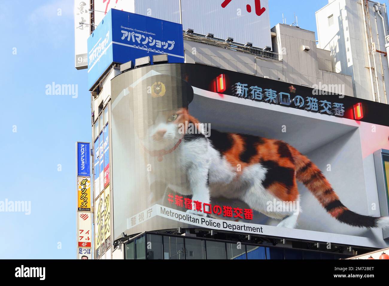 TOKYO, JAPAN - January 4, 2023: A 3D billboard featuring a police cat ...