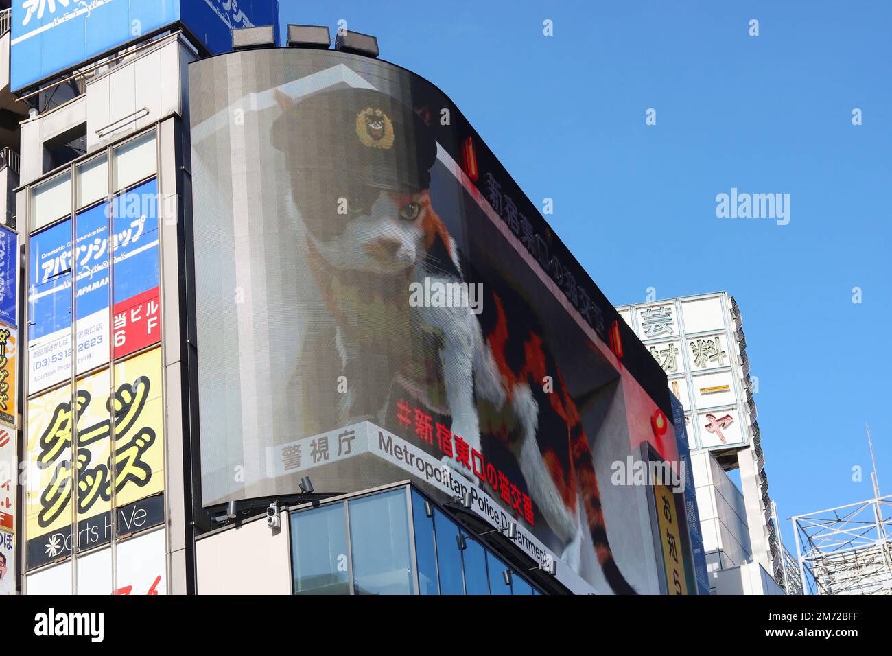 TOKYO, JAPAN - January 4, 2023: A 3D billboard featuring a police cat ...