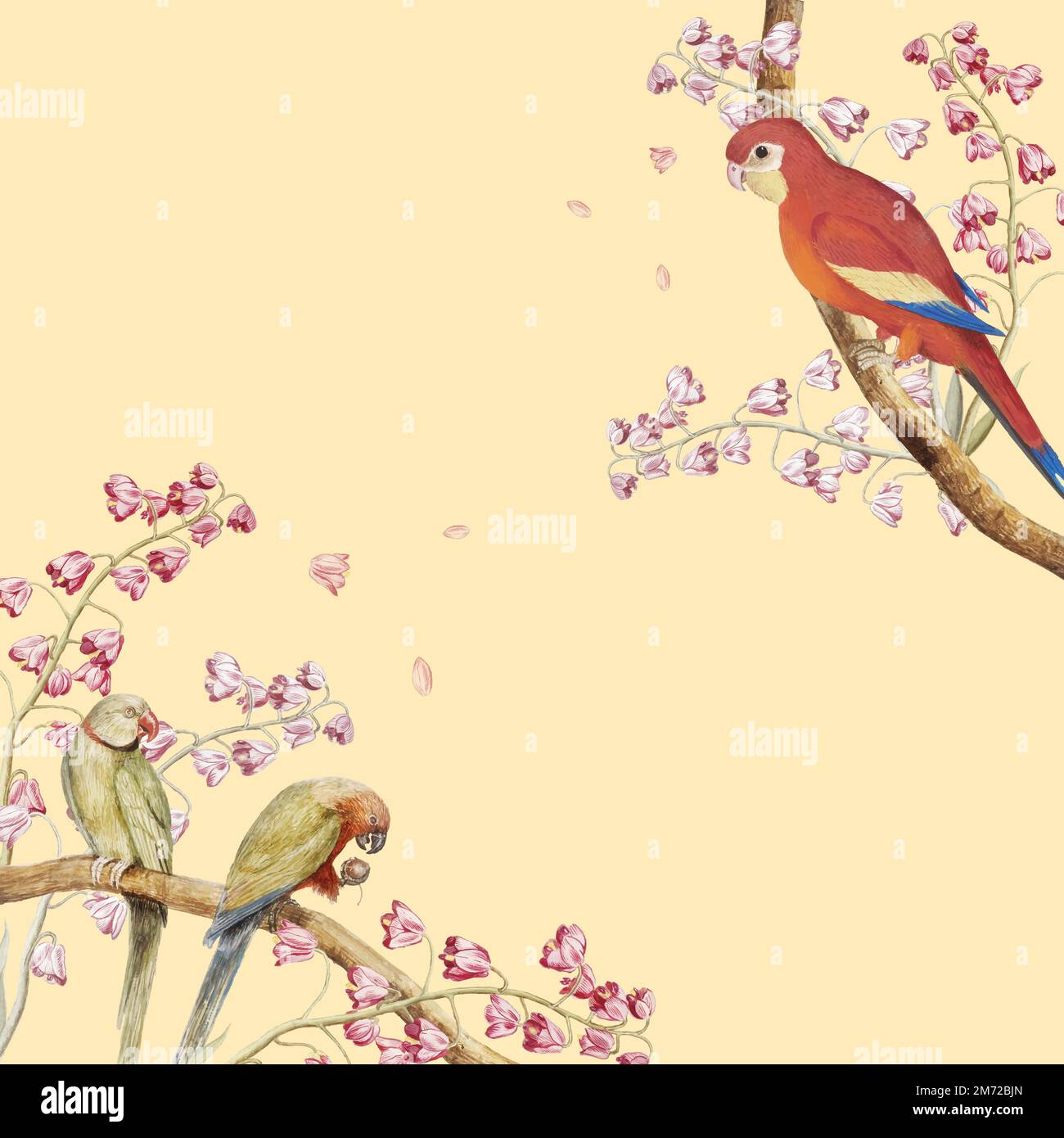 Vintage parrots and nature concept border vector Stock Vector Image ...