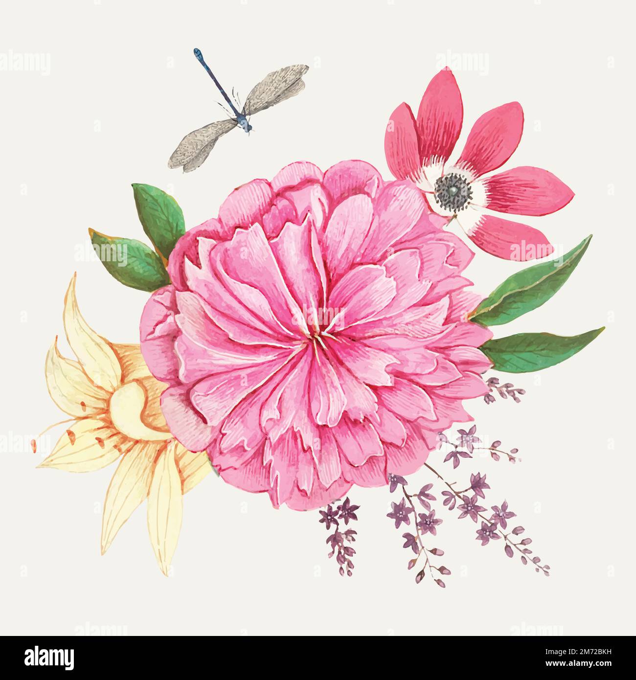 Pink flower blooming peony Stock Vector Images - Alamy