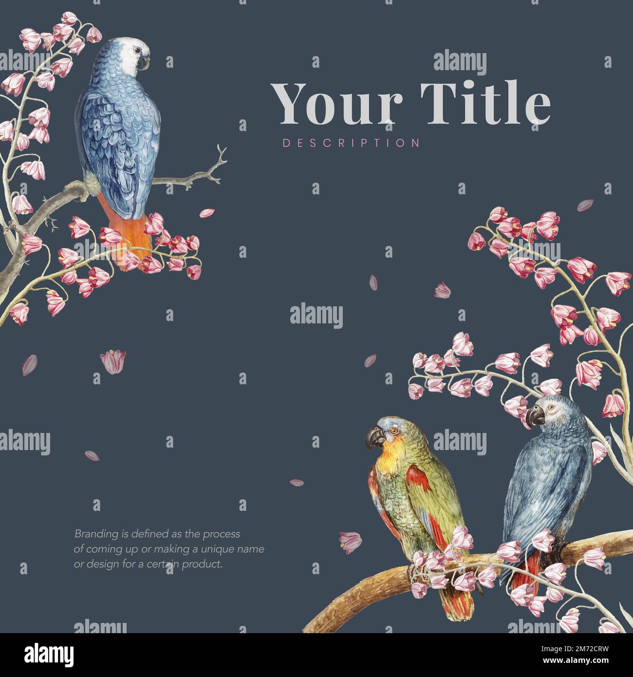 Vintage parrots and nature concept border vector Stock Vector Image ...