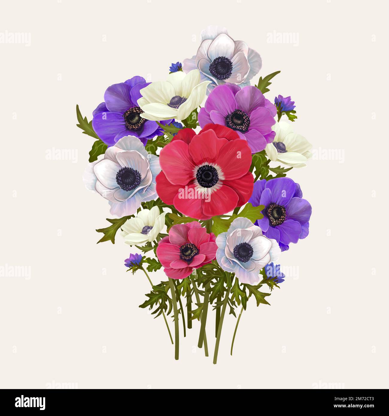 Purple anemone drawing Stock Vector Images - Alamy