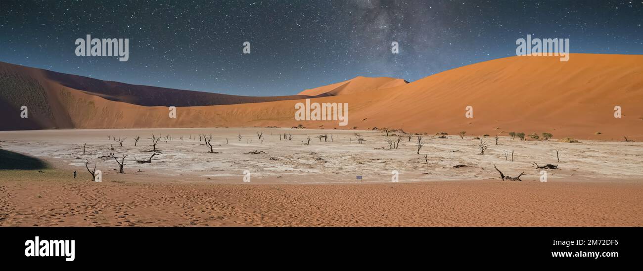 Namibia, the Dead Valley in the Namib desert, red dunes in background ...
