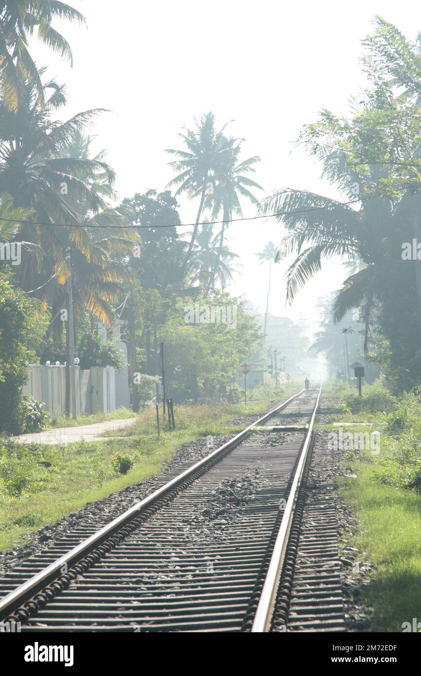 rail train road to the beach Stock Photo - Alamy