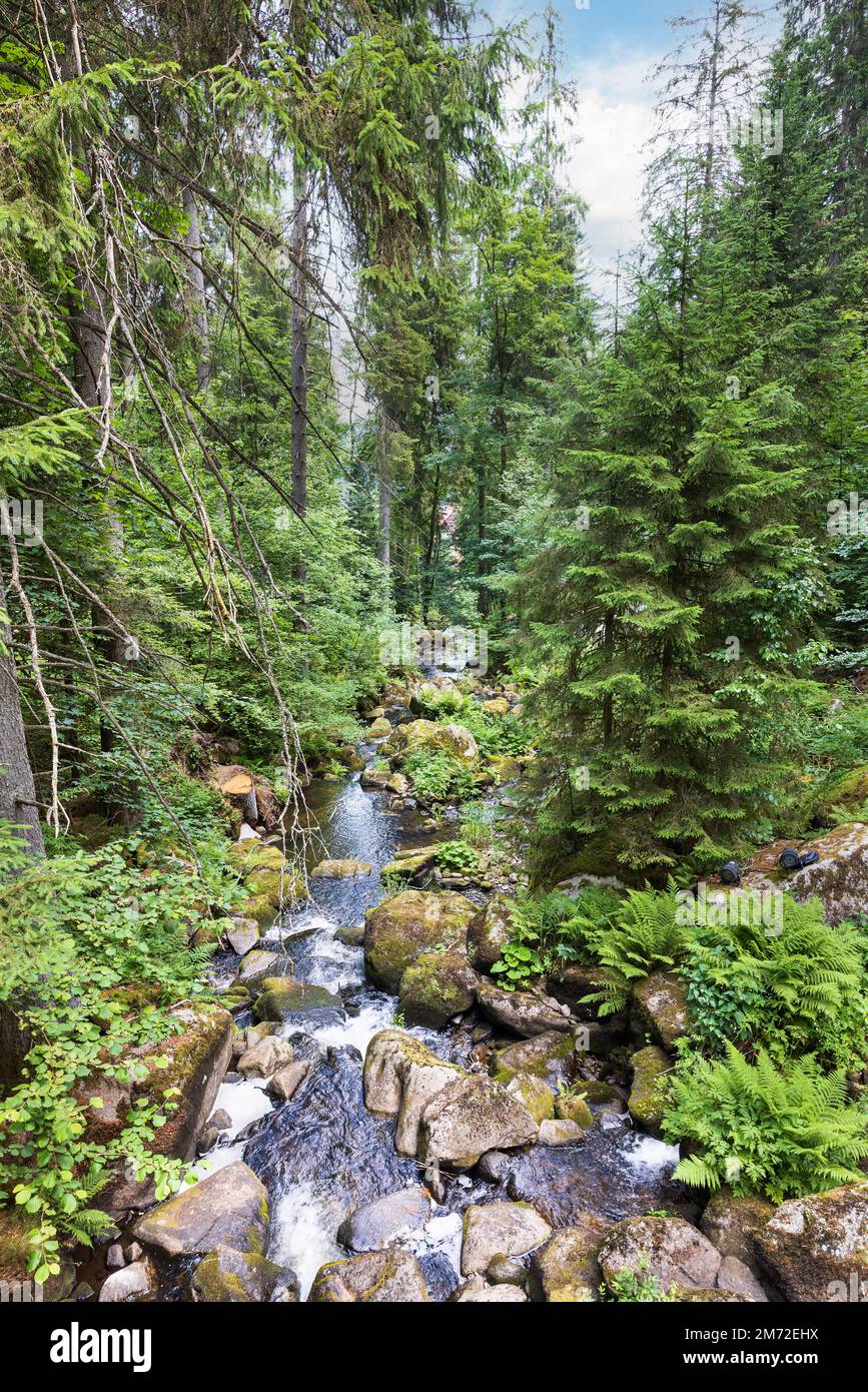 Beautiful waterfall in black forest hi-res stock photography and images ...