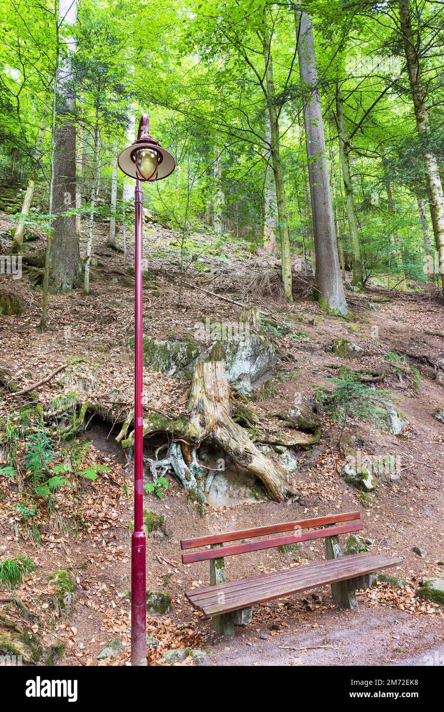 Black forest germany environment hi-res stock photography and images ...