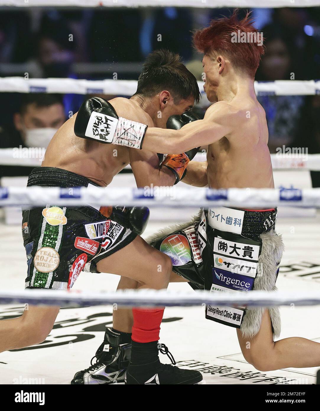 An accidental clash of heads occurs between IBF minimumweight champion ...