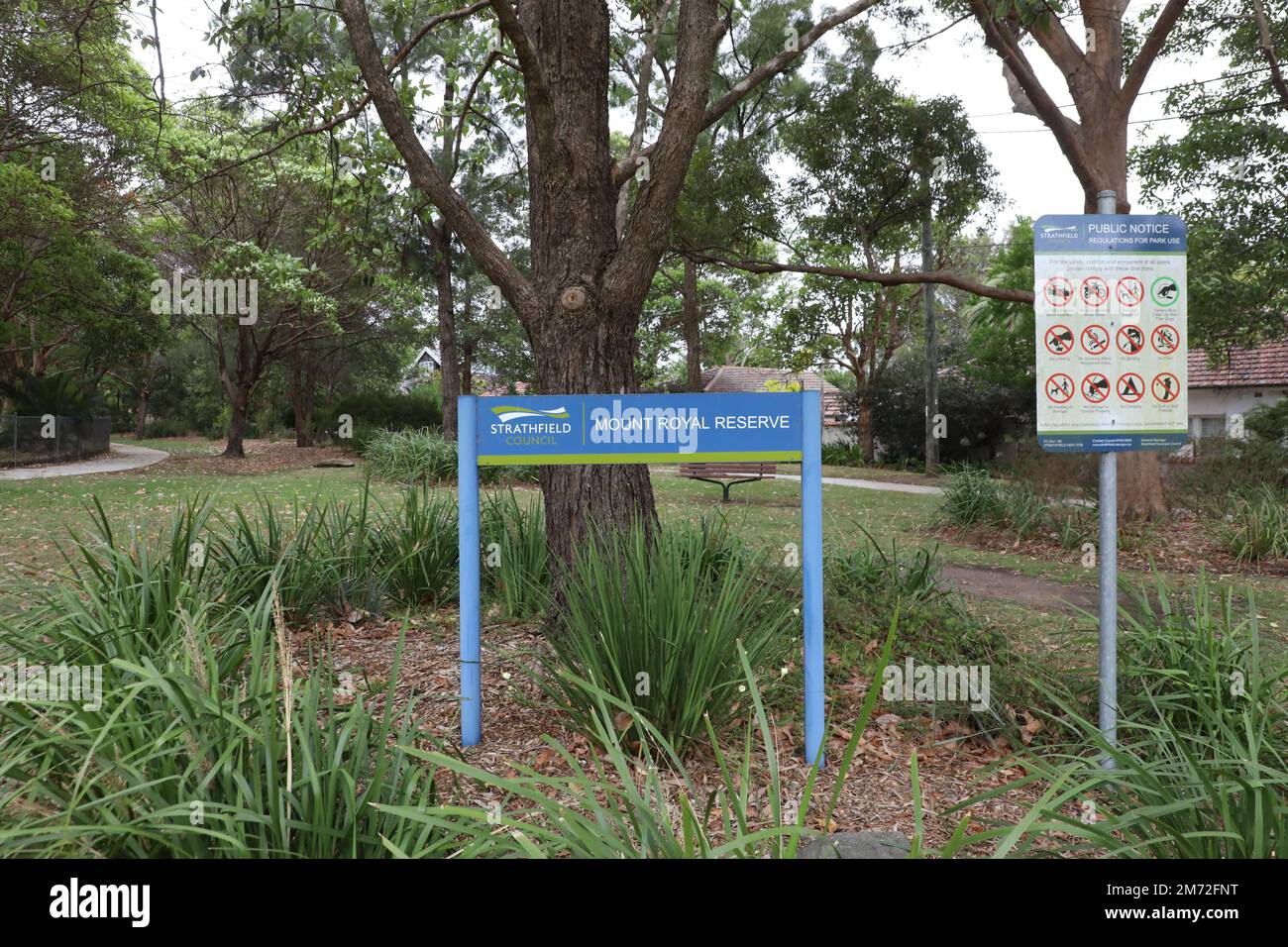 Mount Royal Reserve, Barker Rd, Strathfield NSW 2135 Stock Photo - Alamy
