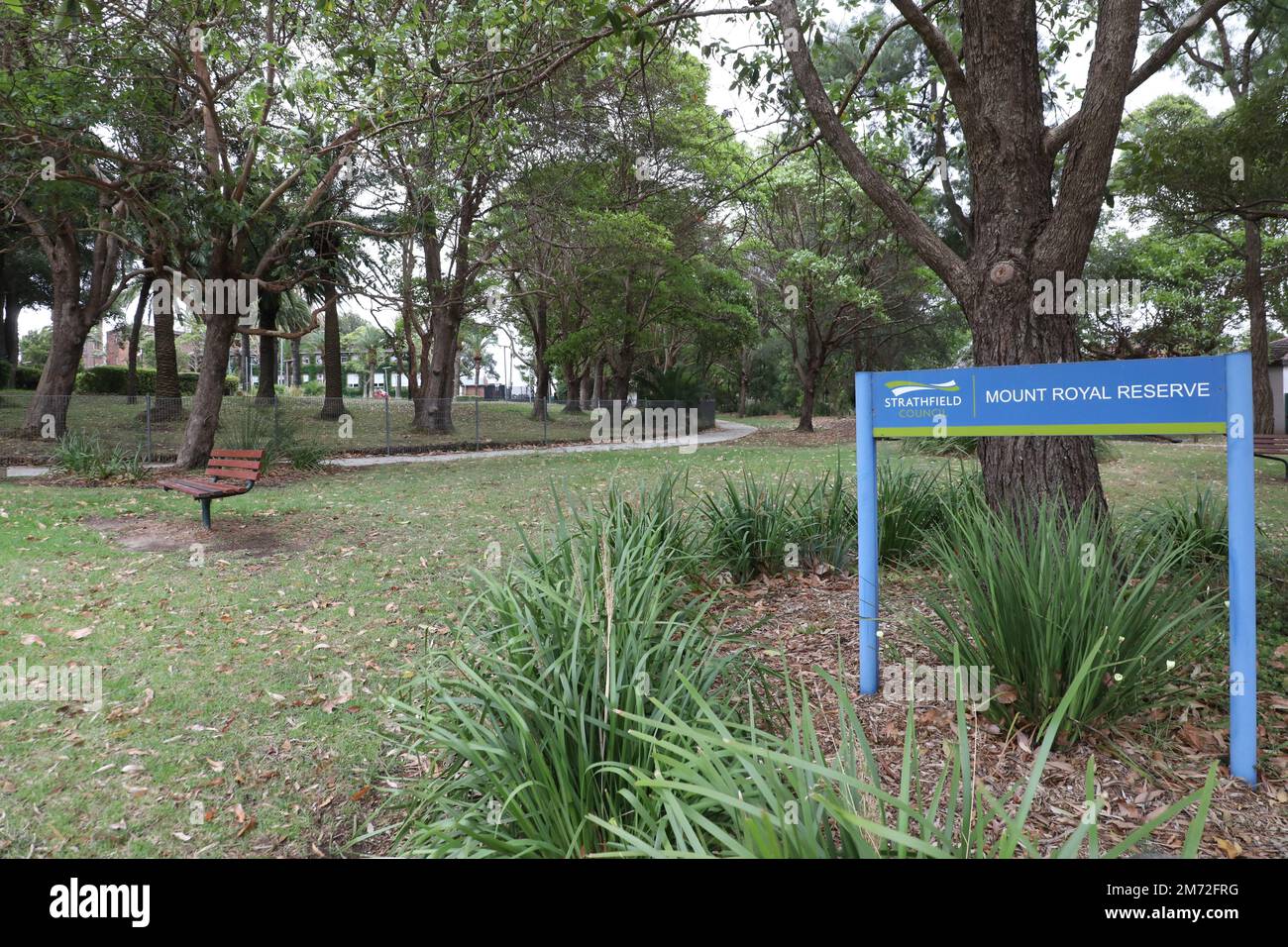 Mount Royal Reserve, Barker Rd, Strathfield NSW 2135 Stock Photo - Alamy