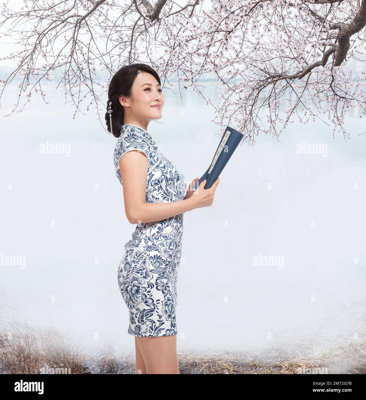 Traditional Chinese image Stock Photo - Alamy