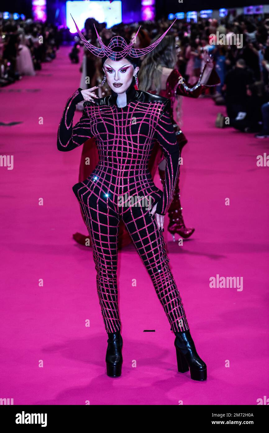 Blu hydrangea hi-res stock photography and images - Alamy