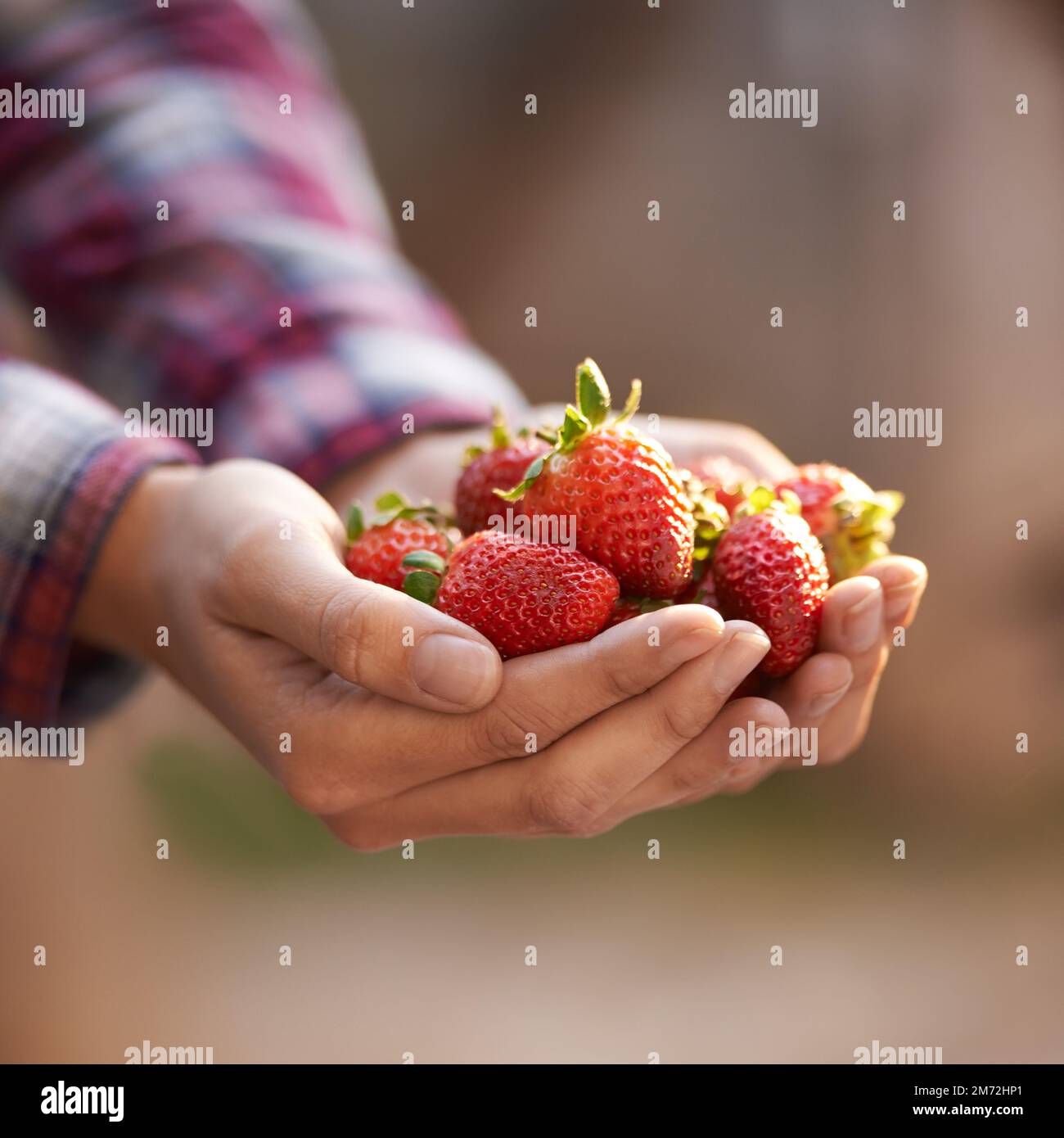 Best fresh produce hi-res stock photography and images - Alamy