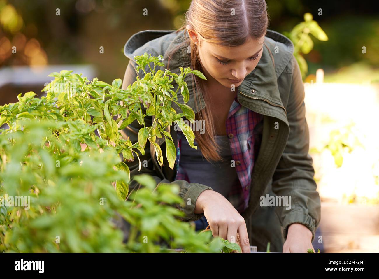 Getting in touch with her inner green. a beautiful young woman busy ...