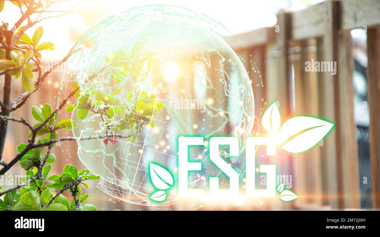 ESG Concepts for Environment, Society and Governance in Sustainable ...