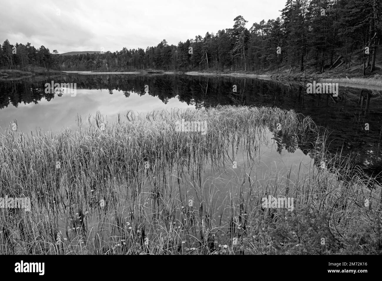 Lake in Lemmenjoki National Park, near Inari, Finland Stock Photo - Alamy