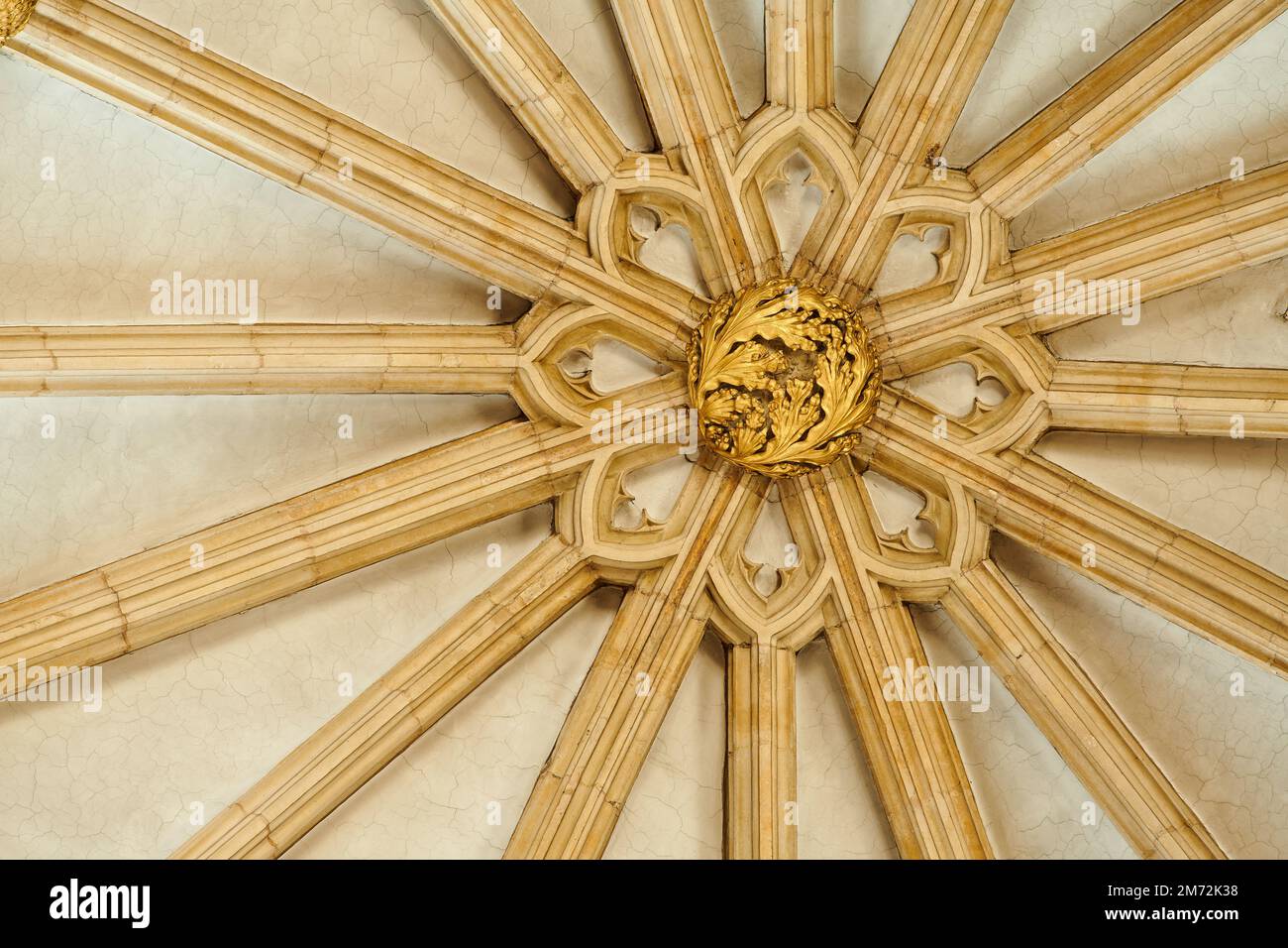 Boss on the ceiling of the central tower of the medieval christian ...
