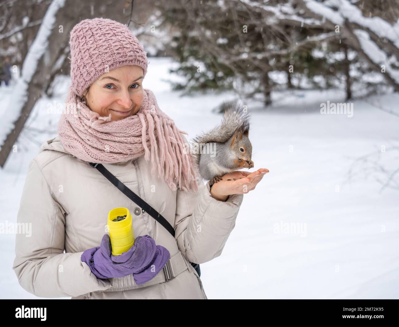 Girl feeds a squirrel with nuts at winter. Squirrel eats nuts from the girls hand. Caring for ...