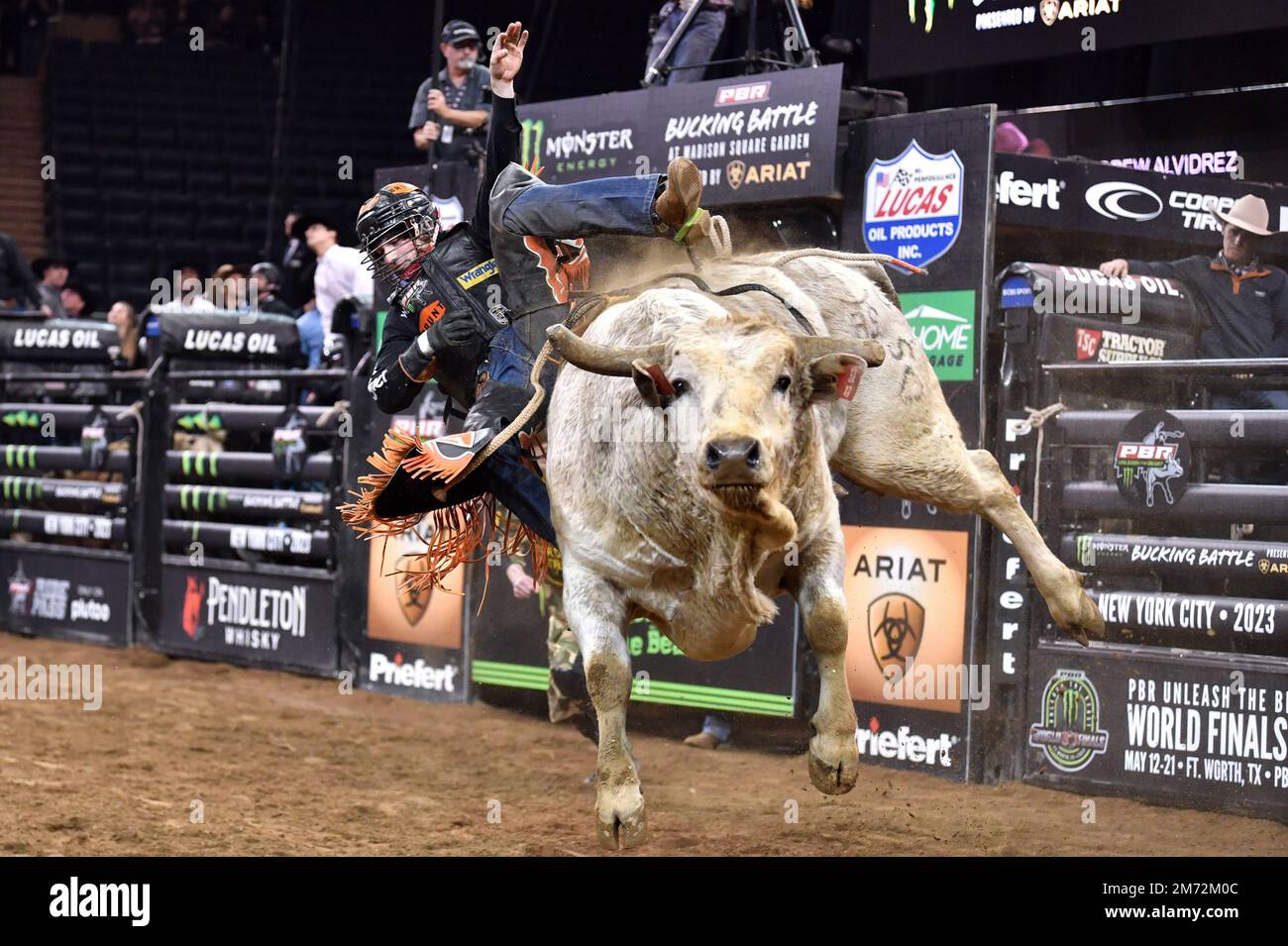New York, USA. 06th Jan, 2023. Professional Bull Rider Casey Roberts (USA) is thrown off a bull ...