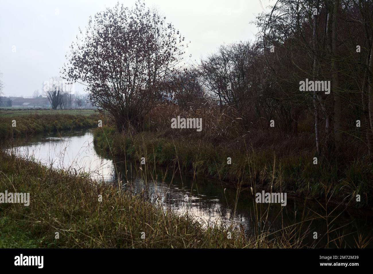 Stream of water that borders a forest next to a field on a cloudy day ...