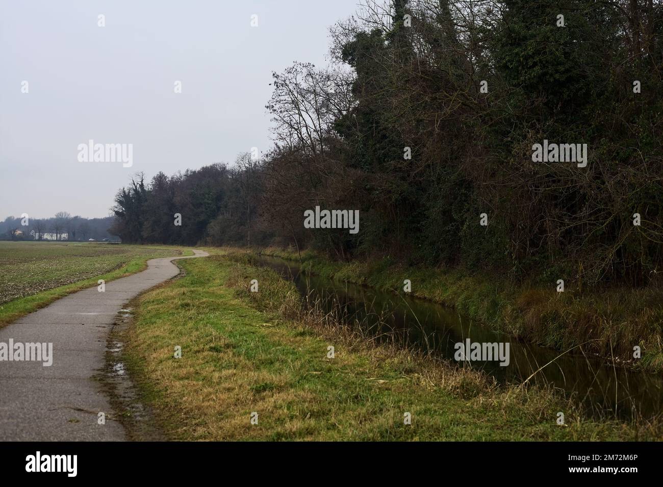 Asphalt trail bordered by a cultivated field and a forest next to a ...