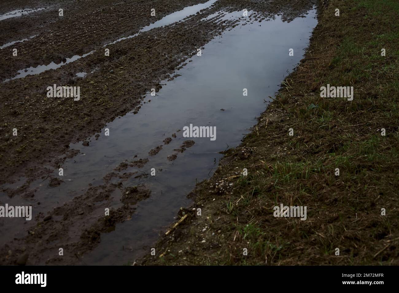 Puddle in a cultivated field seen up close Stock Photo - Alamy