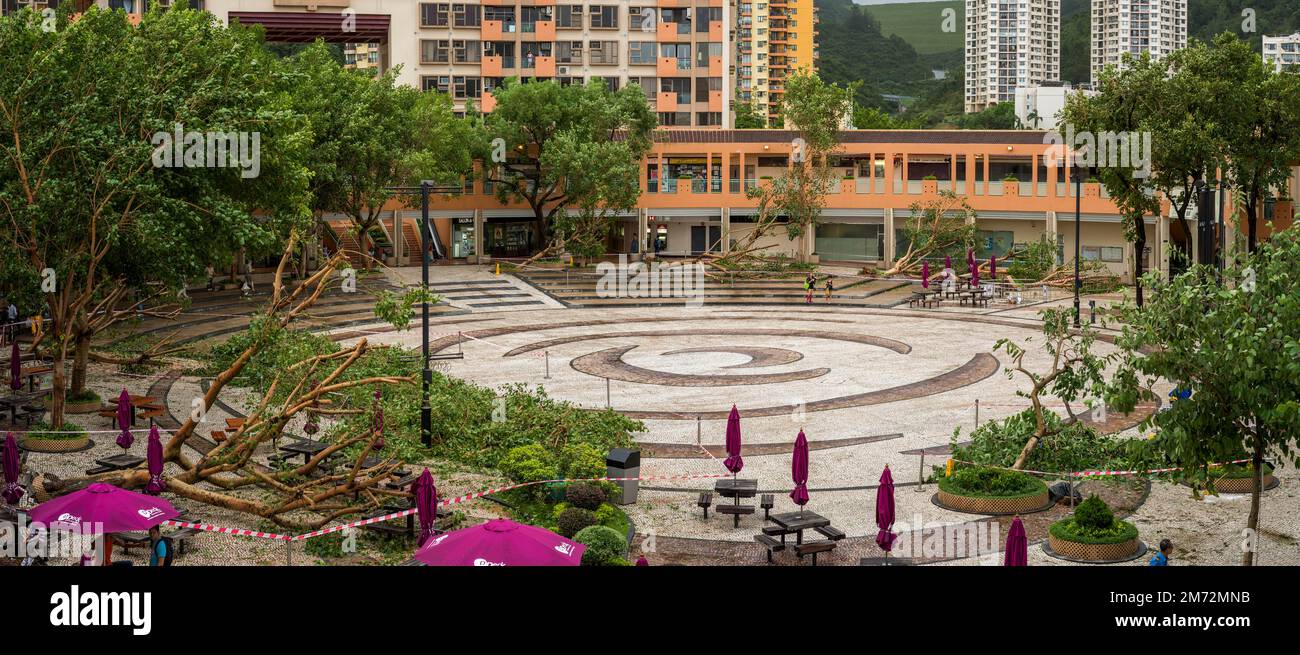 Panorama of fallen trees in Discovery Bay Plaza after the passage of ...