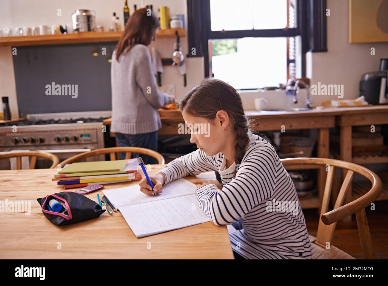 Shes a dedicated little worker. A busy young girl doing her homework at ...