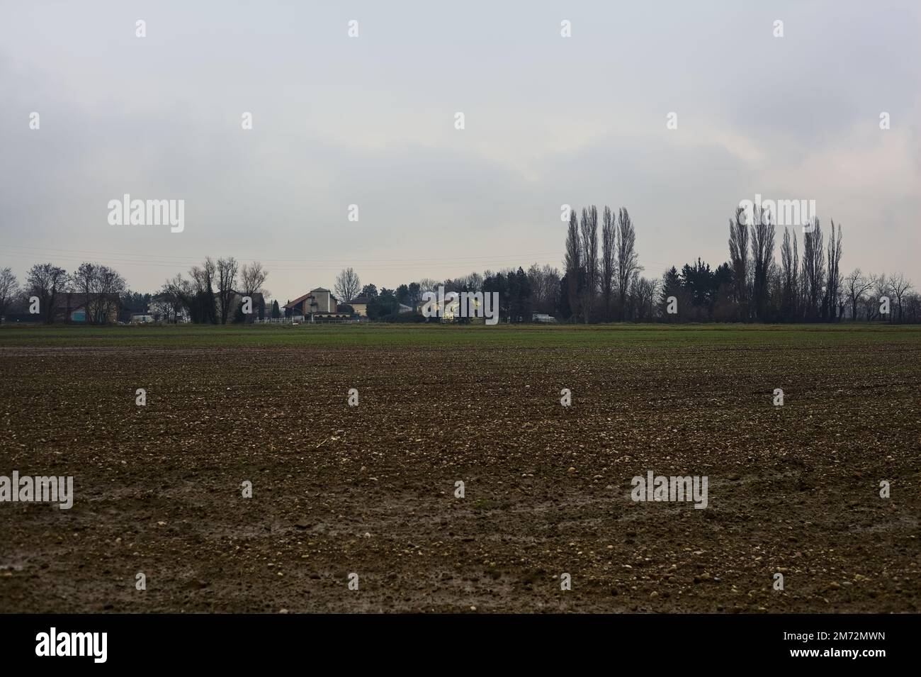 Farmhouse with trees in a cultivated field seen from the distance on a ...