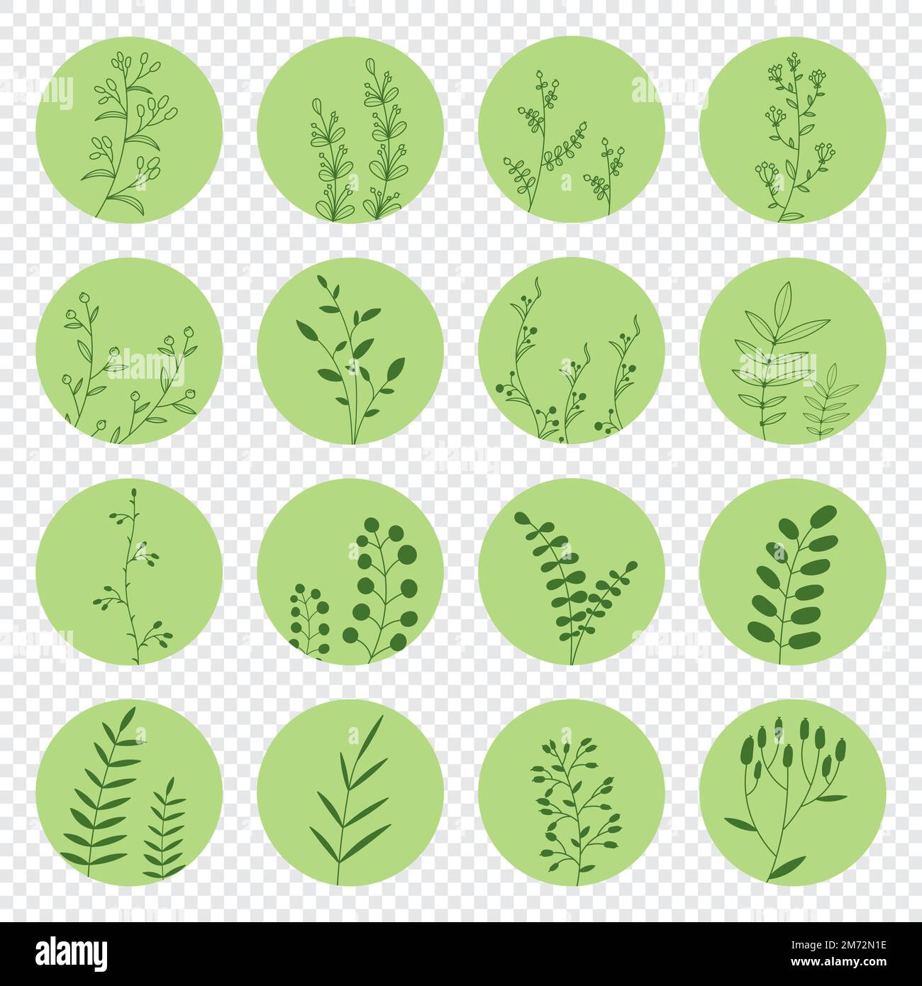 Collection of floral round icons in green color. Set of various vector ...