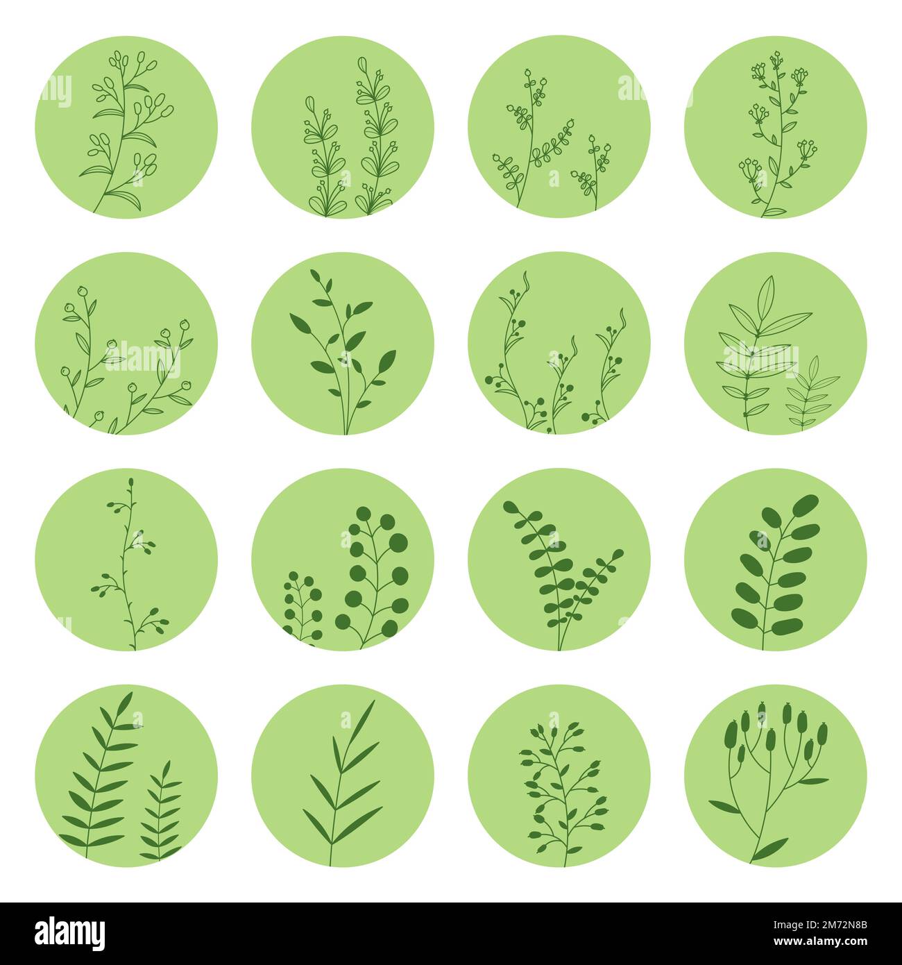 Collection of floral round icons in green color. Set of various vector ...