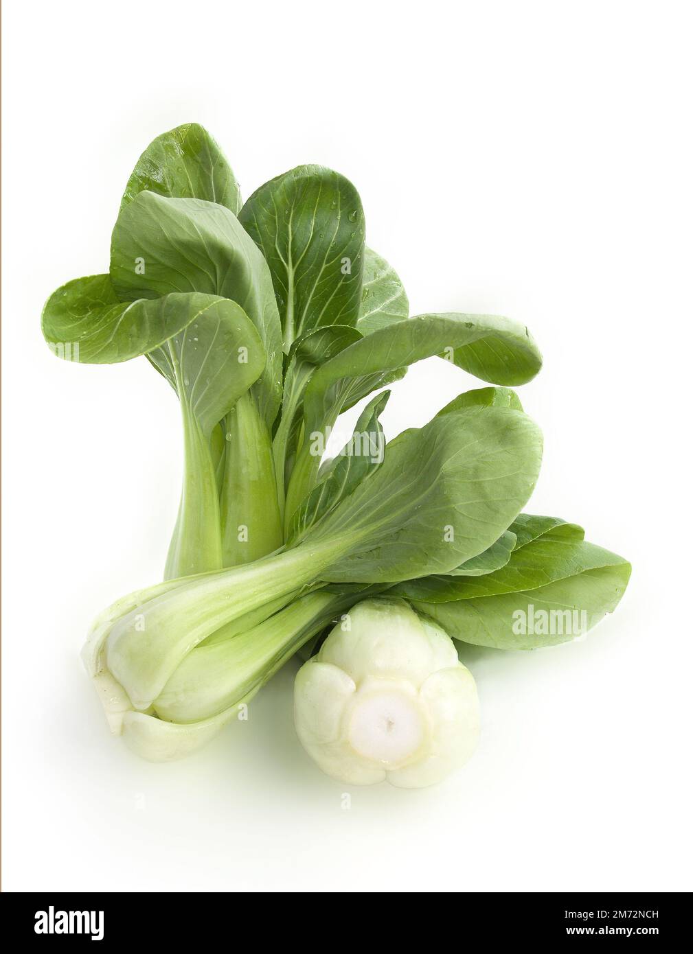 Pak Choi - Chinese cabbage on white background Stock Photo - Alamy