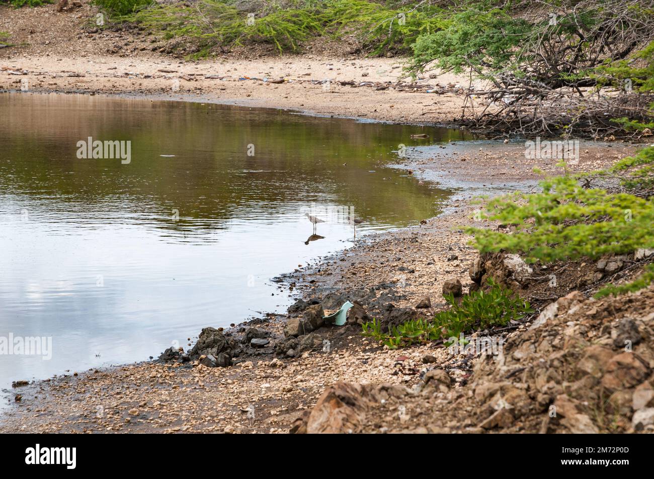 The beach and shoreline of St. Joris Bay in Curacao. Two little ...