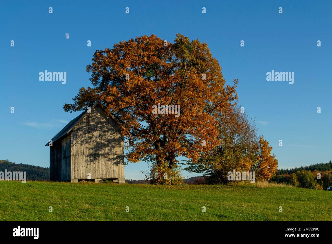 An old wooden barn in the middle of a green field in autumn with an old ...