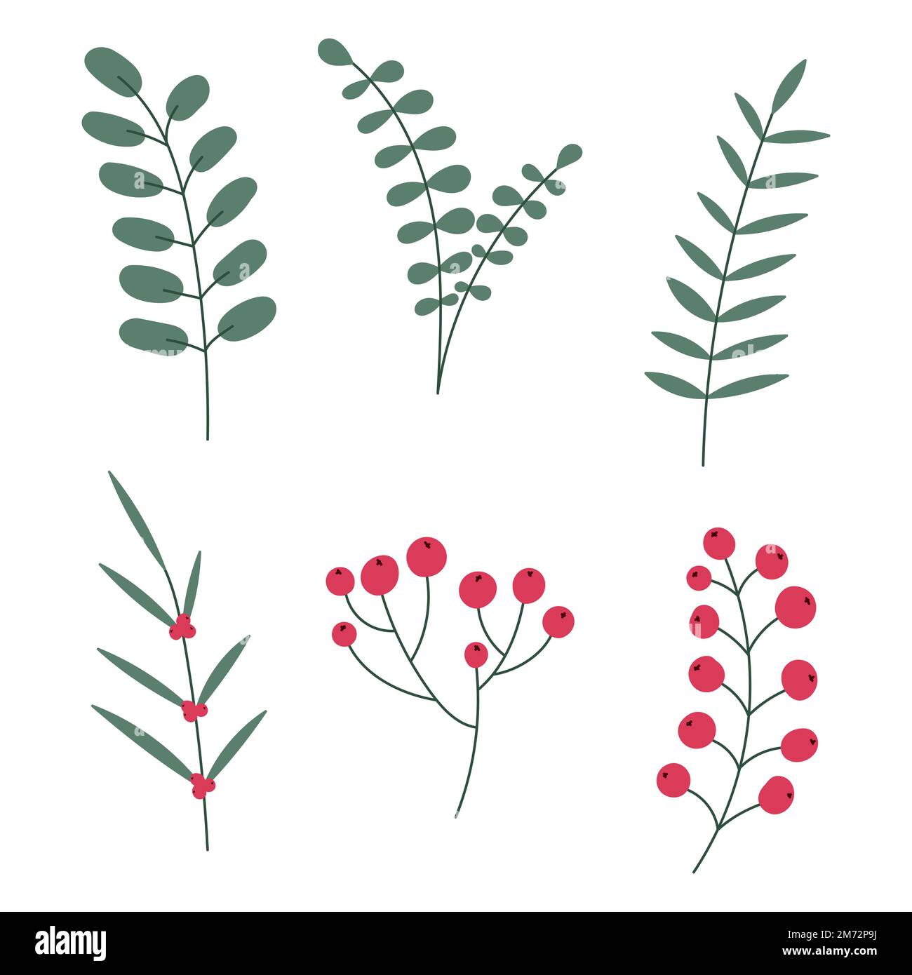 Hand drawn winter leaves and branches. Set of plants with flowers ...