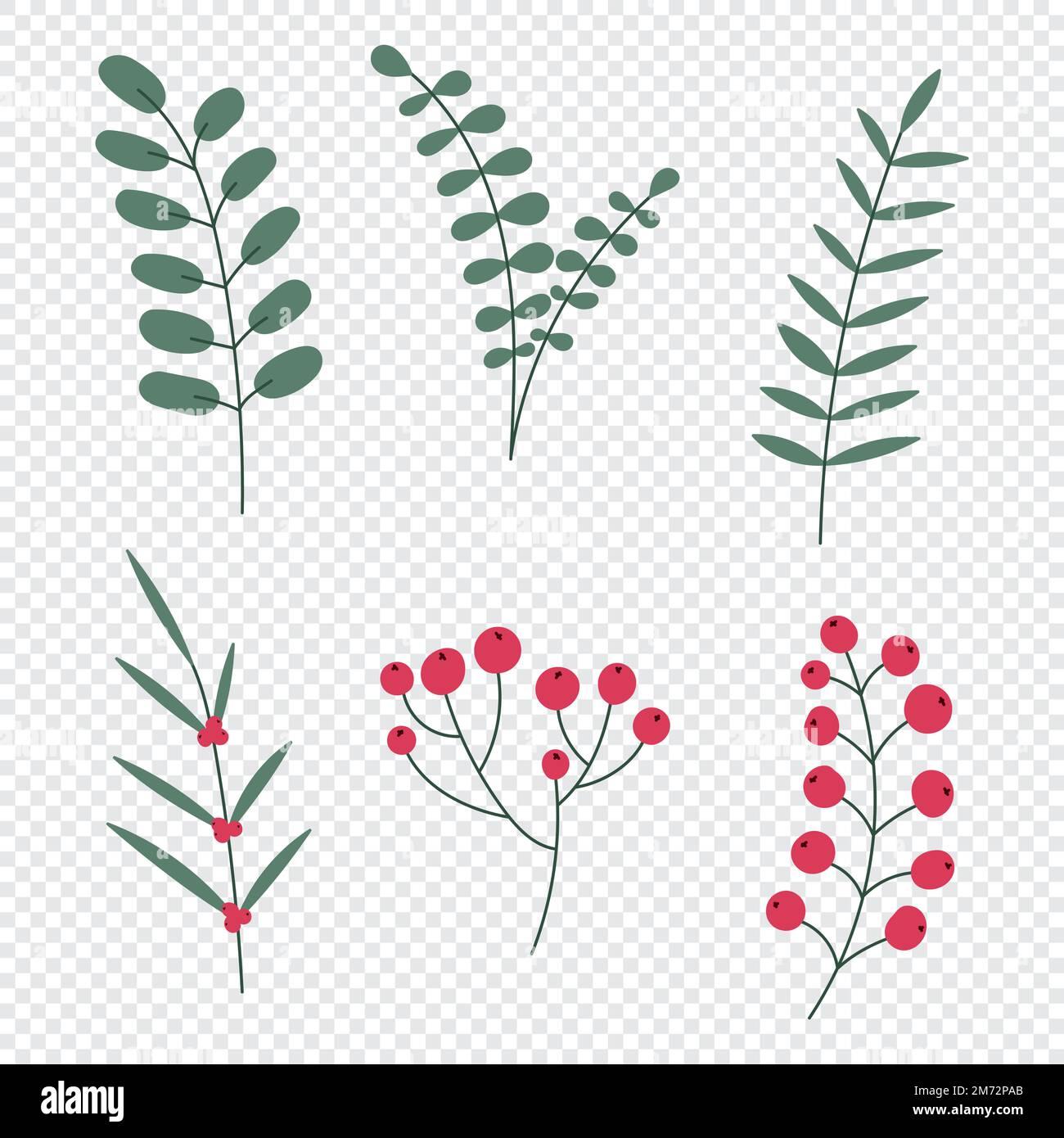 Hand drawn winter leaves and branches. Set of plants with flowers ...