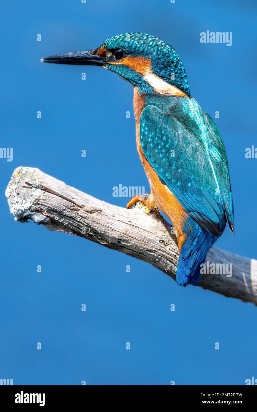 Suffolk nature reserve hi-res stock photography and images - Alamy