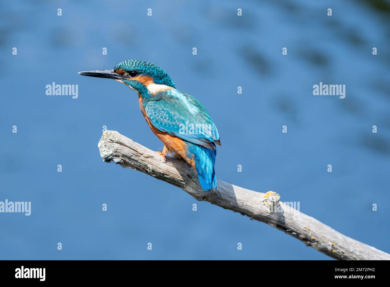Thetford fishing hi-res stock photography and images - Alamy