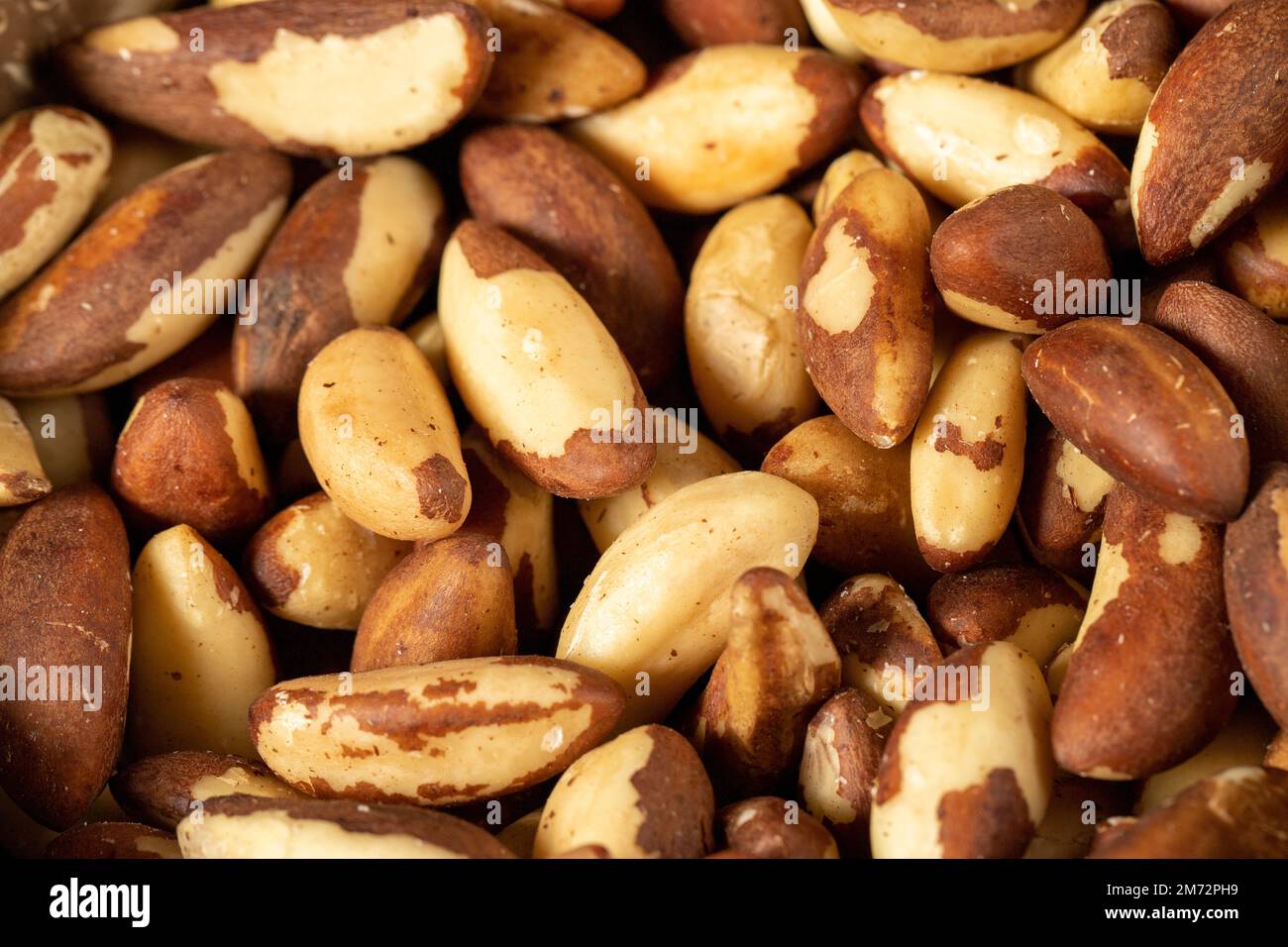 Brazil nut on dark background. Many delicious brazil nuts as background ...