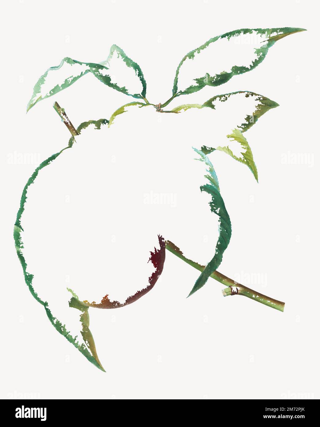 Beautiful peach on tree Stock Vector Images - Alamy