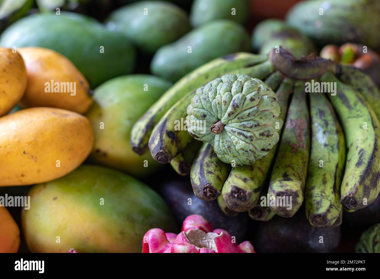 Set of Balinese fruits and vegetables . Flat lay Stock Photo - Alamy