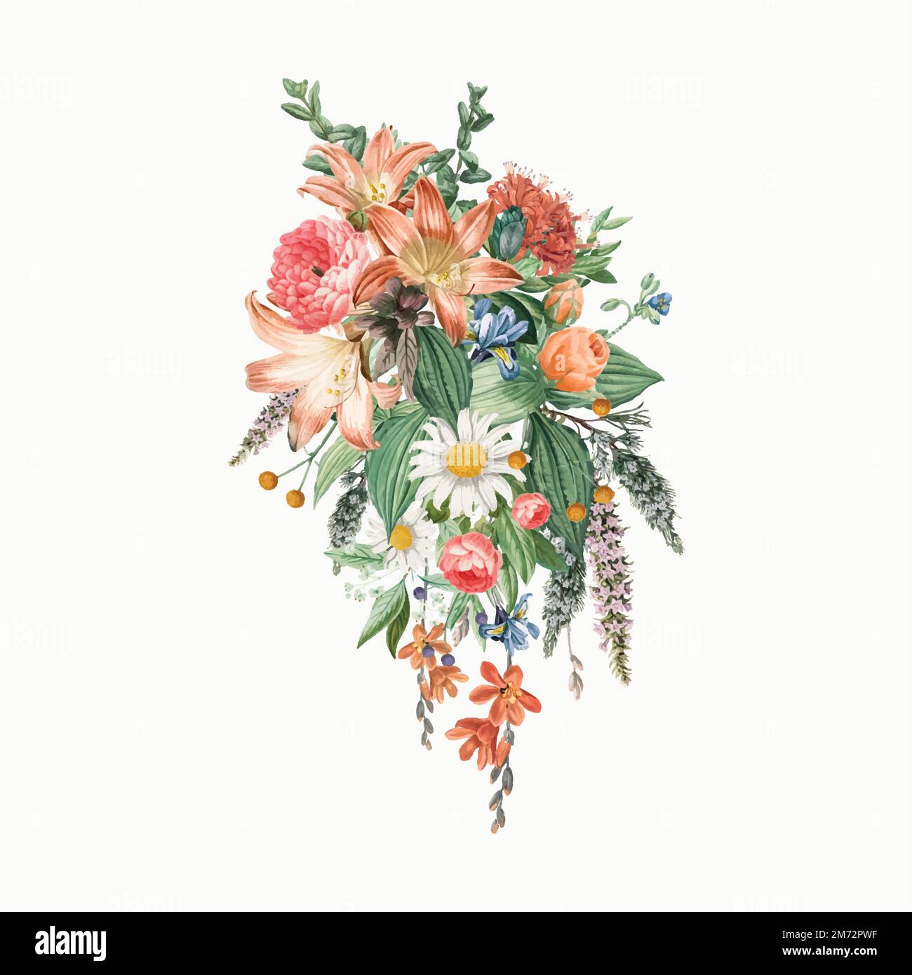 Colorful blooming vintage flowers vector Stock Vector Image & Art - Alamy