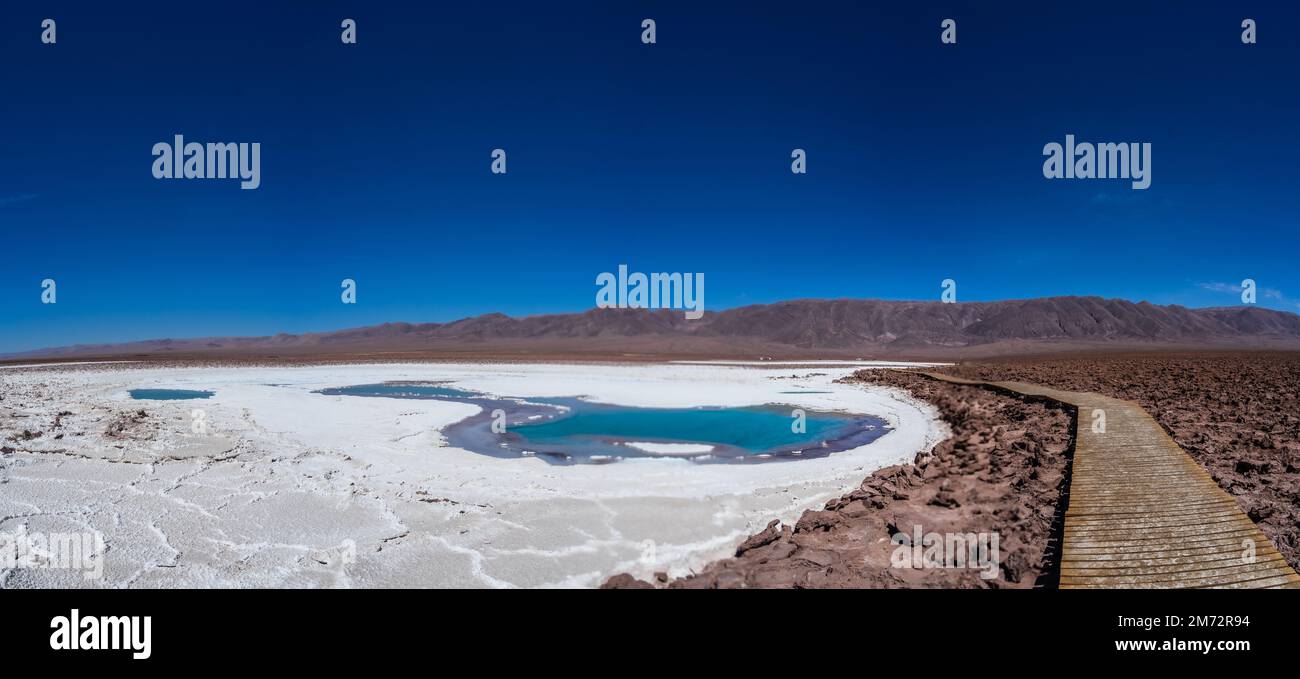 A panoramic view of an oasis with turquoise water lagoon in the Atacama ...