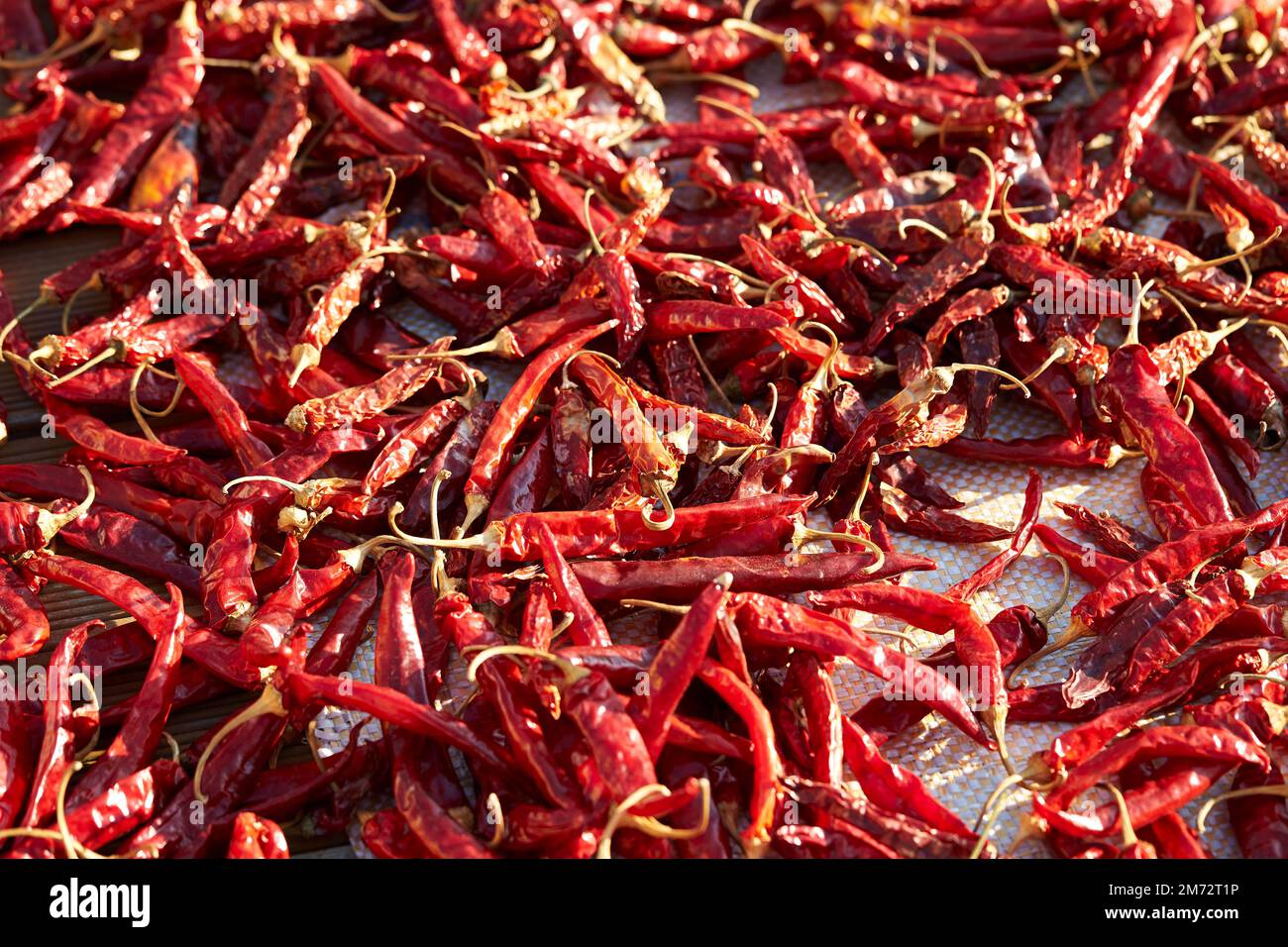 Sun-dried red chillies, dried chillies Stock Photo - Alamy